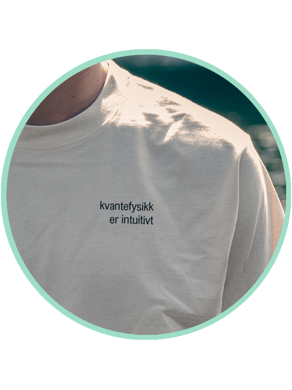 Kvantefysikk er intuitivt – Plump